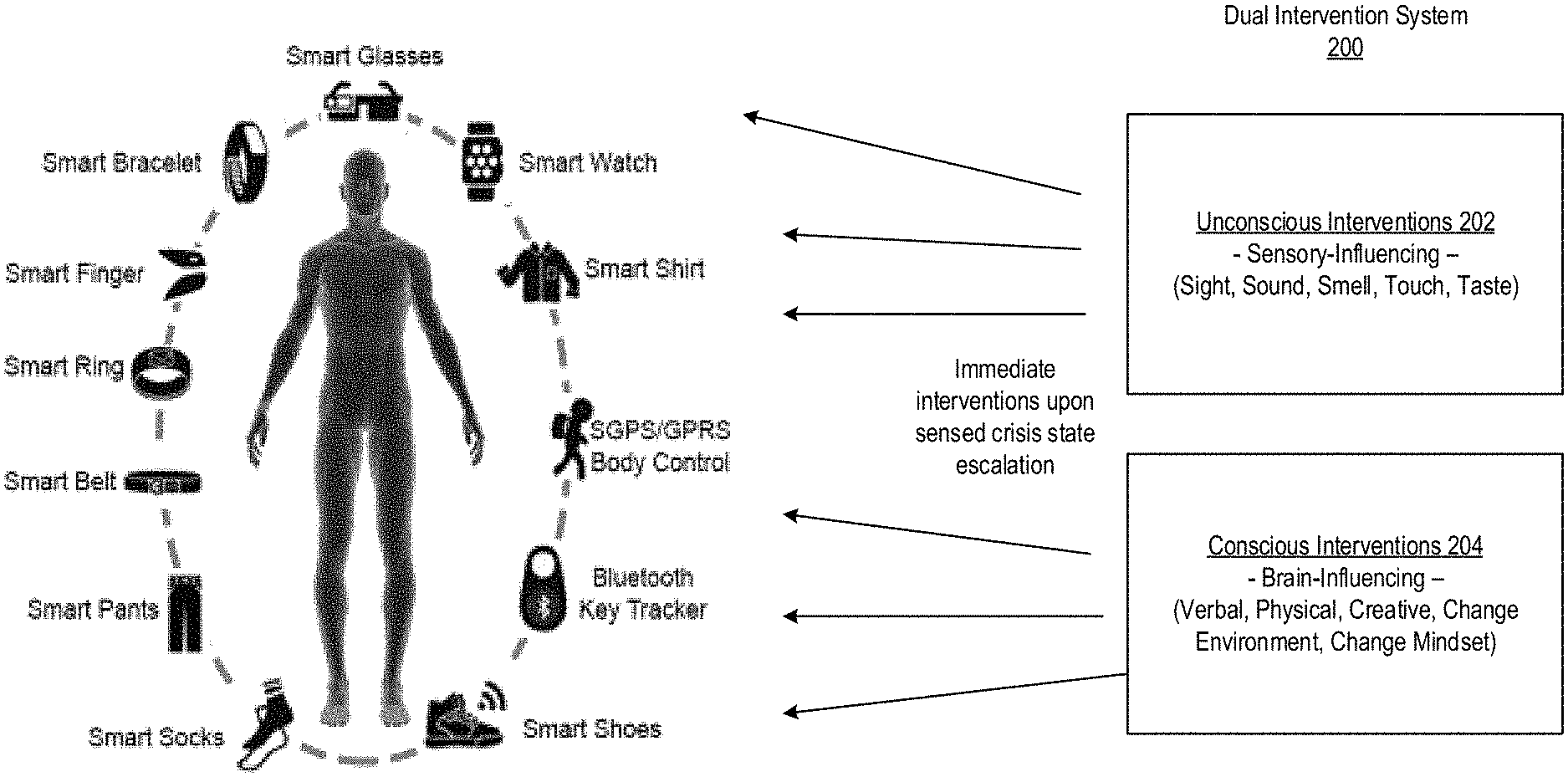 Computer System for Crisis State Detection and Intervention. Патент ...